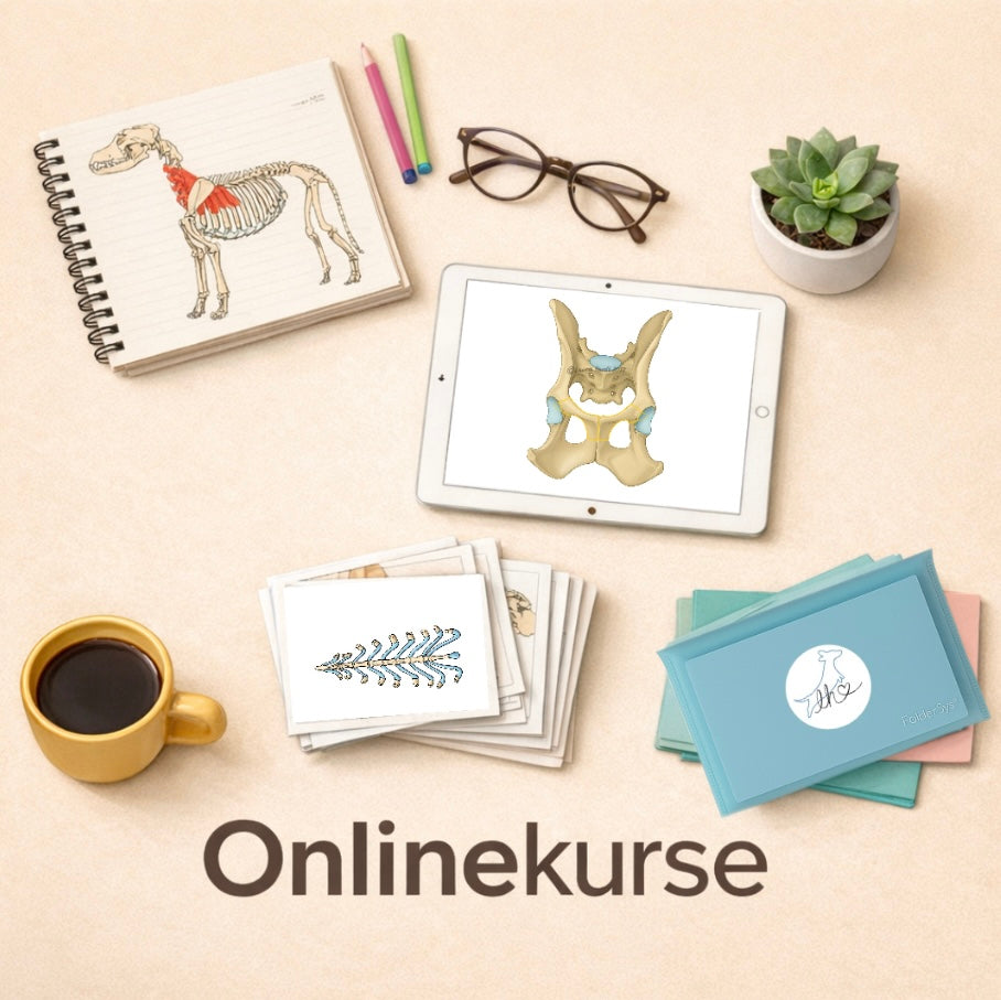 Tierphysio Shop – Tierphysio Laura Hardt