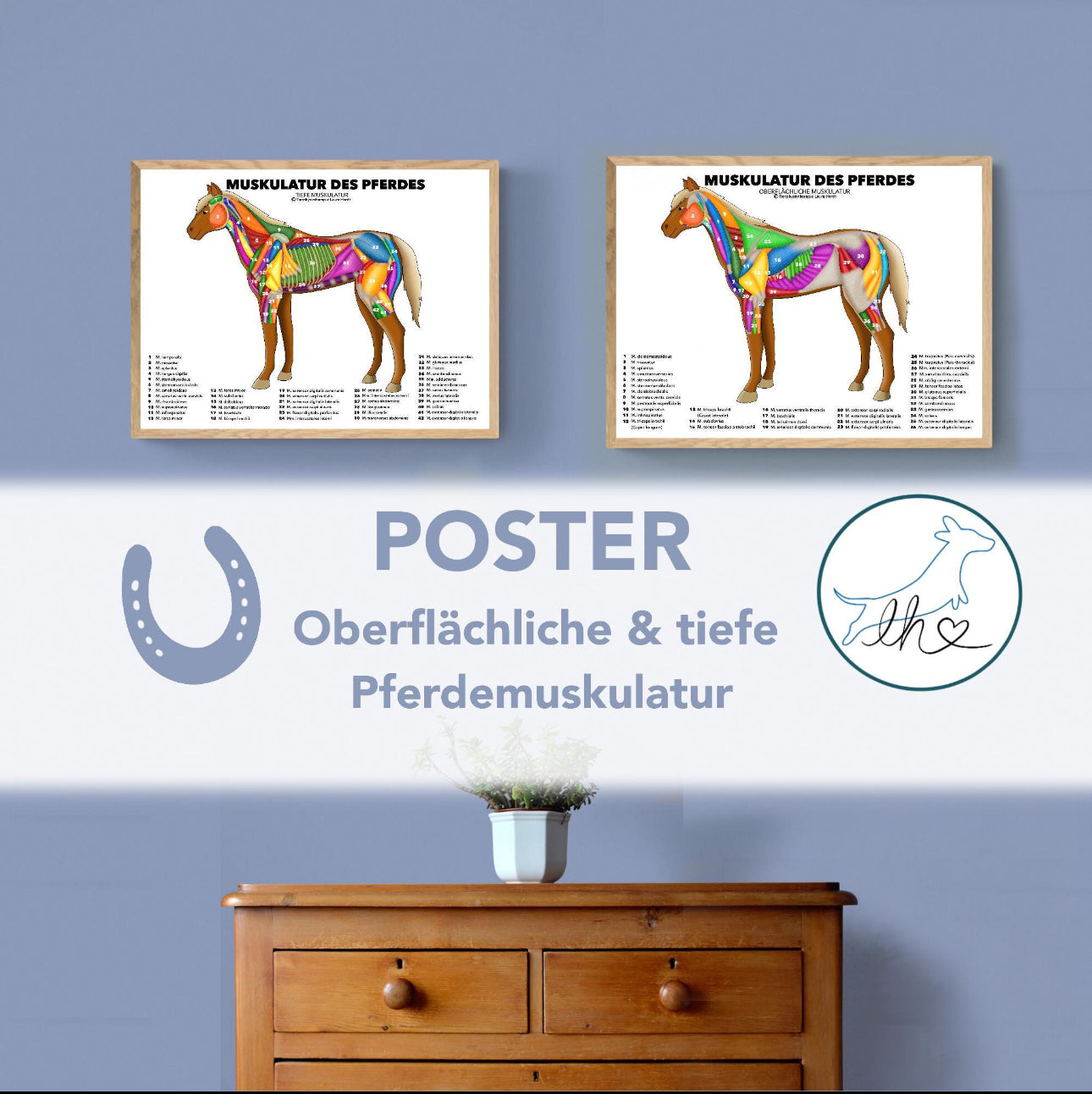 Pferdemuskulatur Poster – Tierphysio Laura Hardt