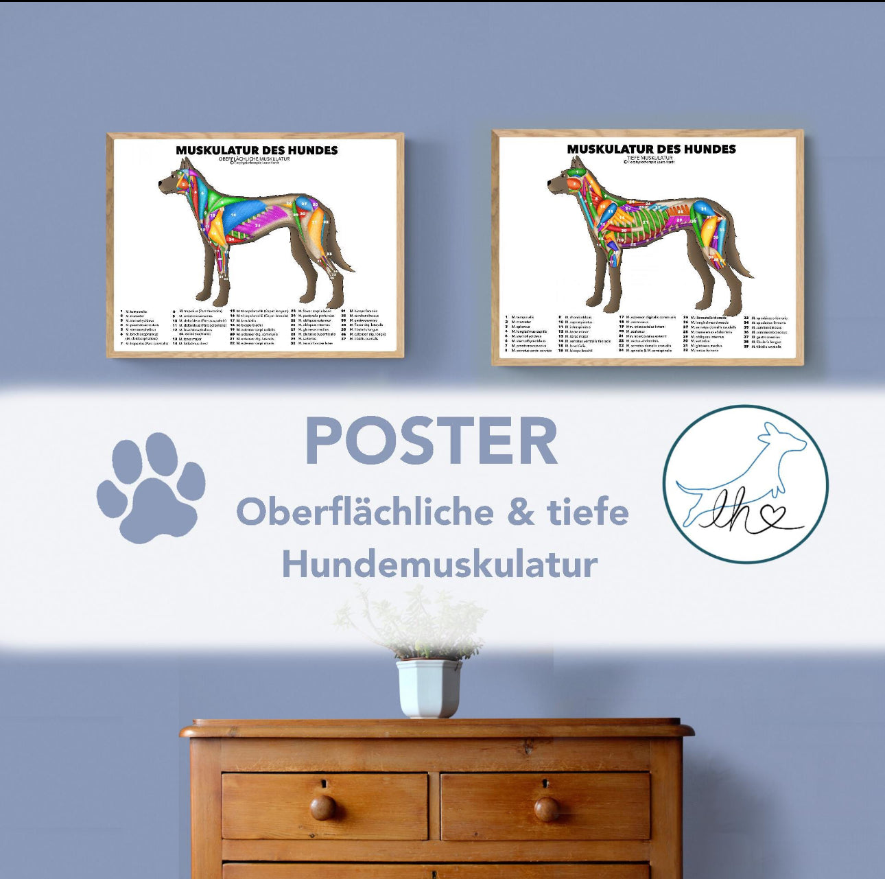 Hundemuskulatur Poster – Tierphysio Laura Hardt